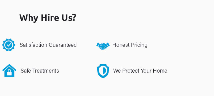 Pest Control Canton Ga 🥇 Oct 2025